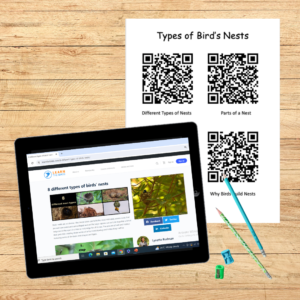Build a Bird’s Nest- STEM Challenge - Seeds for Teachers