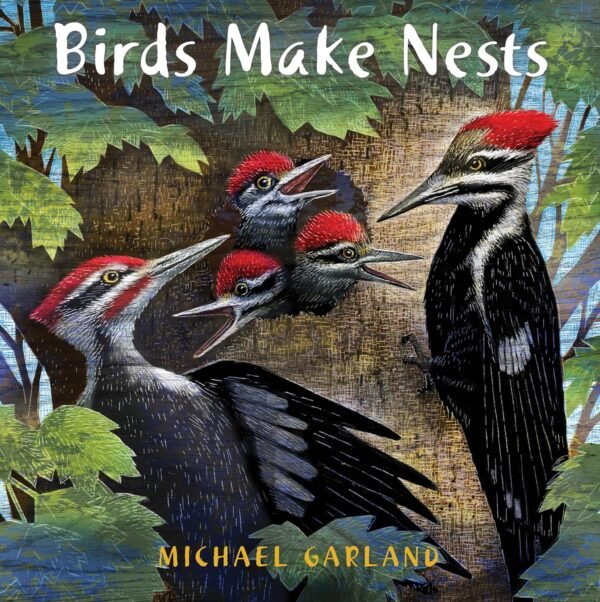 Build a Bird’s Nest- STEM Challenge - Seeds for Teachers