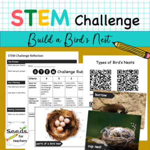 Build a Bird’s Nest- STEM Challenge - Seeds for Teachers
